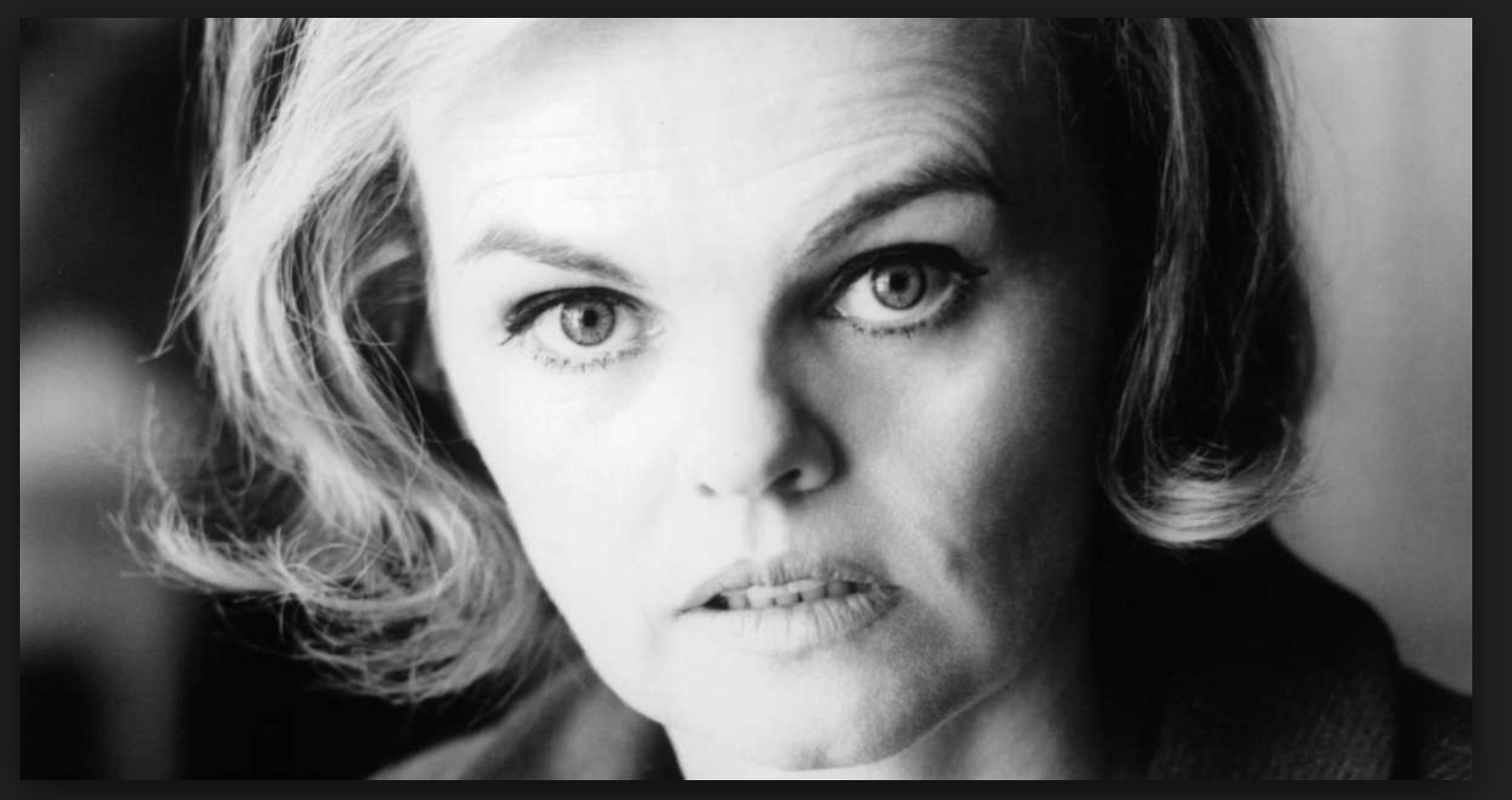 Steven Helgoth | Filmmaking, Acting Classes, & Casting – Elevating ...